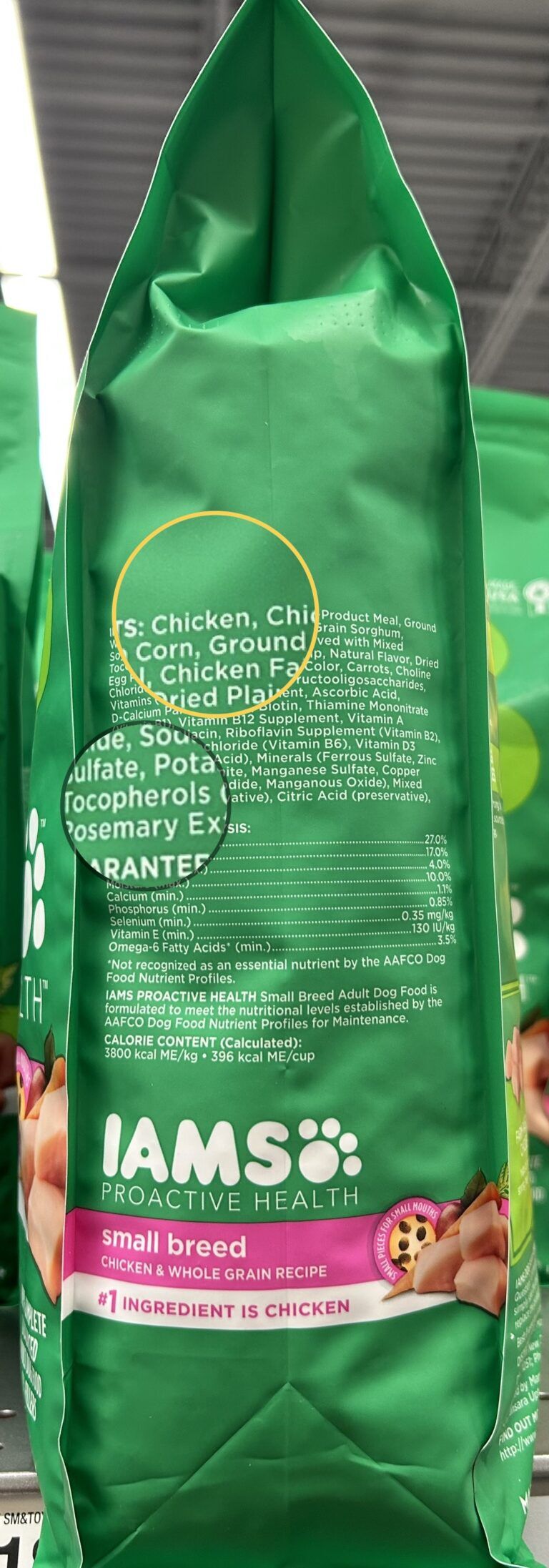 How to Choose the Best Dog Food for Your Cavapoo