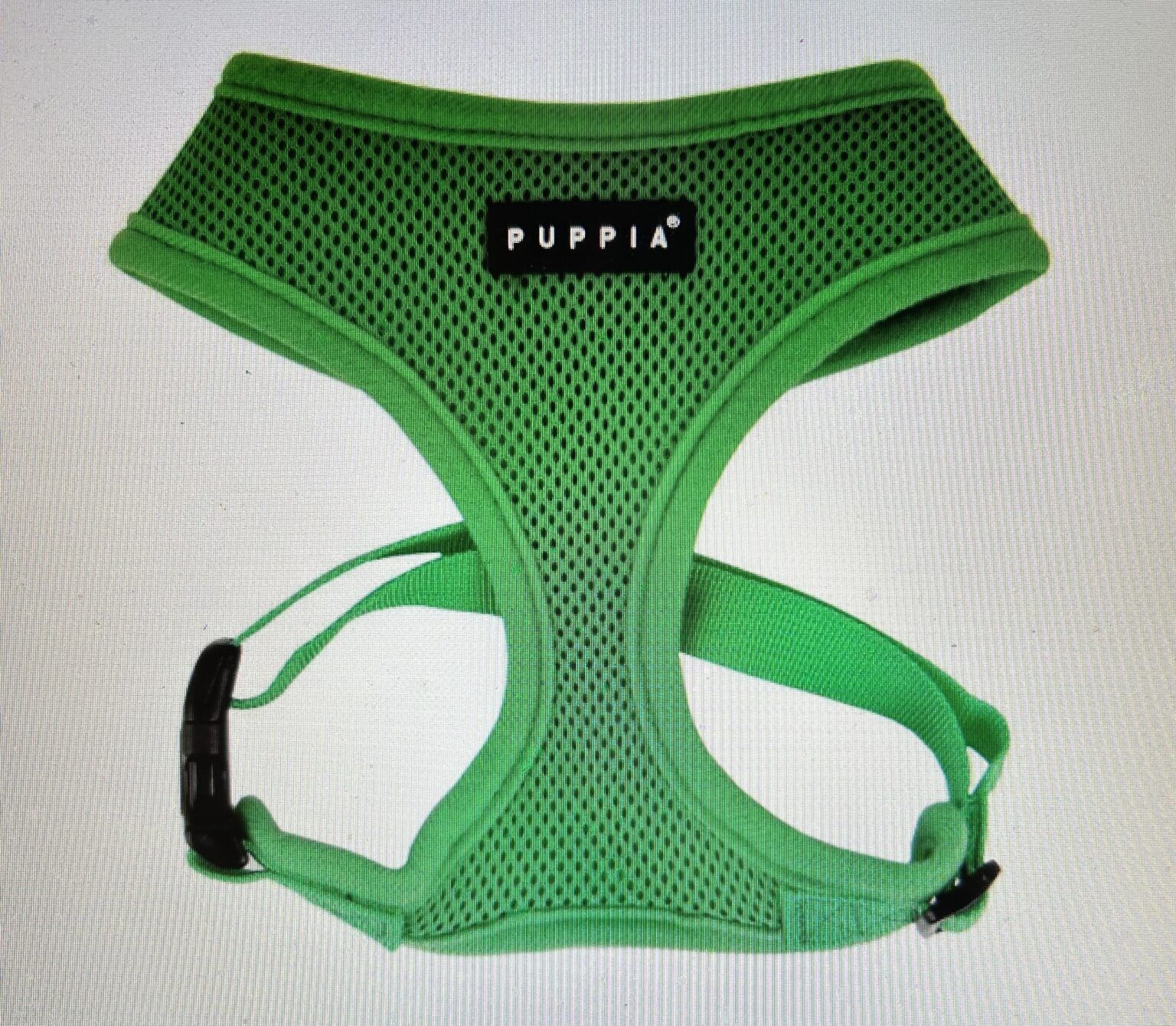 6 Reasons Why Harnesses are Better for Your Cavapoo!